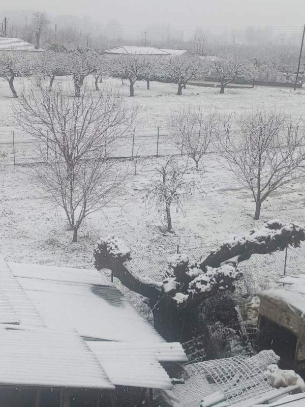 ΑΝΑΦΟΡΕΣ ΧΙΟΝΙΑ ΚΕΝΤΡΟΒΟΡΕΙΑΣ ΕΛΛΑΔΟΣ ΚΑΙ ΚΑΚΟΚΑΙΡΙΑΣ ΥΠΟΛΟΙΠΩΝ ...