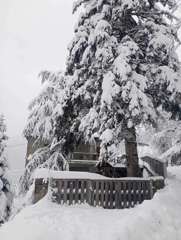 ΑΝΑΦΟΡΕΣ ΧΙΟΝΙΑ ΚΕΝΤΡΟΒΟΡΕΙΑΣ ΕΛΛΑΔΟΣ ΚΑΙ ΚΑΚΟΚΑΙΡΙΑΣ ΥΠΟΛΟΙΠΩΝ ...