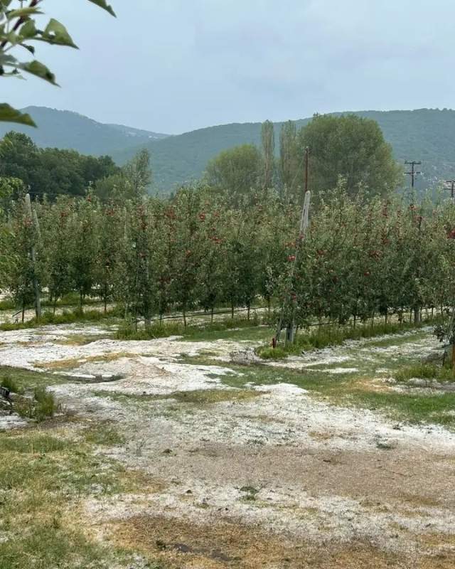 Αναφορές Ιουλίου 2025 - Page 150 - Αναφορές καιρικών συνθηκών - Weather ...