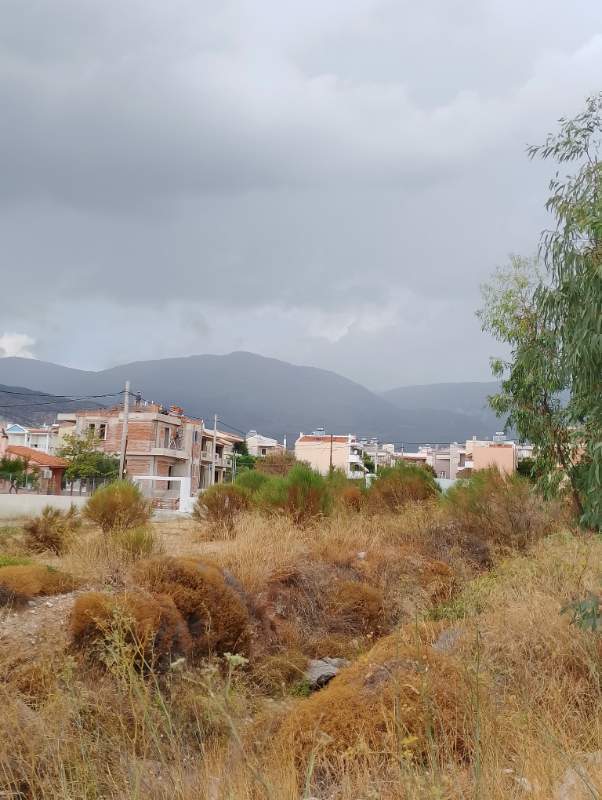 Αναφορές Οκτωβρίου 2025 - Page 2 - Αναφορές καιρικών συνθηκών - Weather ...